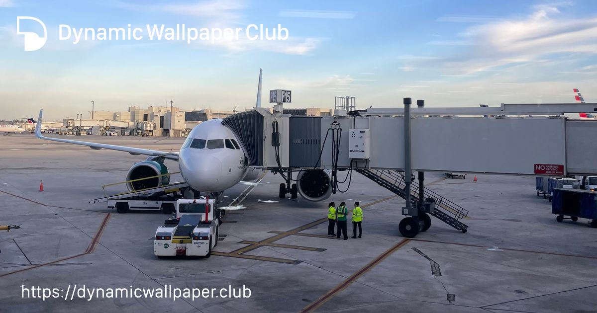 Avion Miami - Dynamic Wallpaper Club