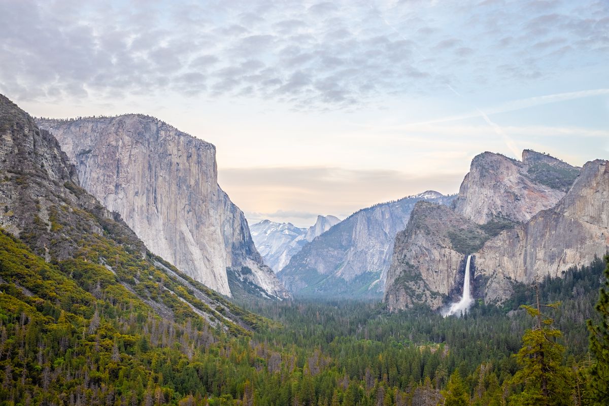 Dynamic Wallpaper Gallery - Dynamic Wallpaper Club