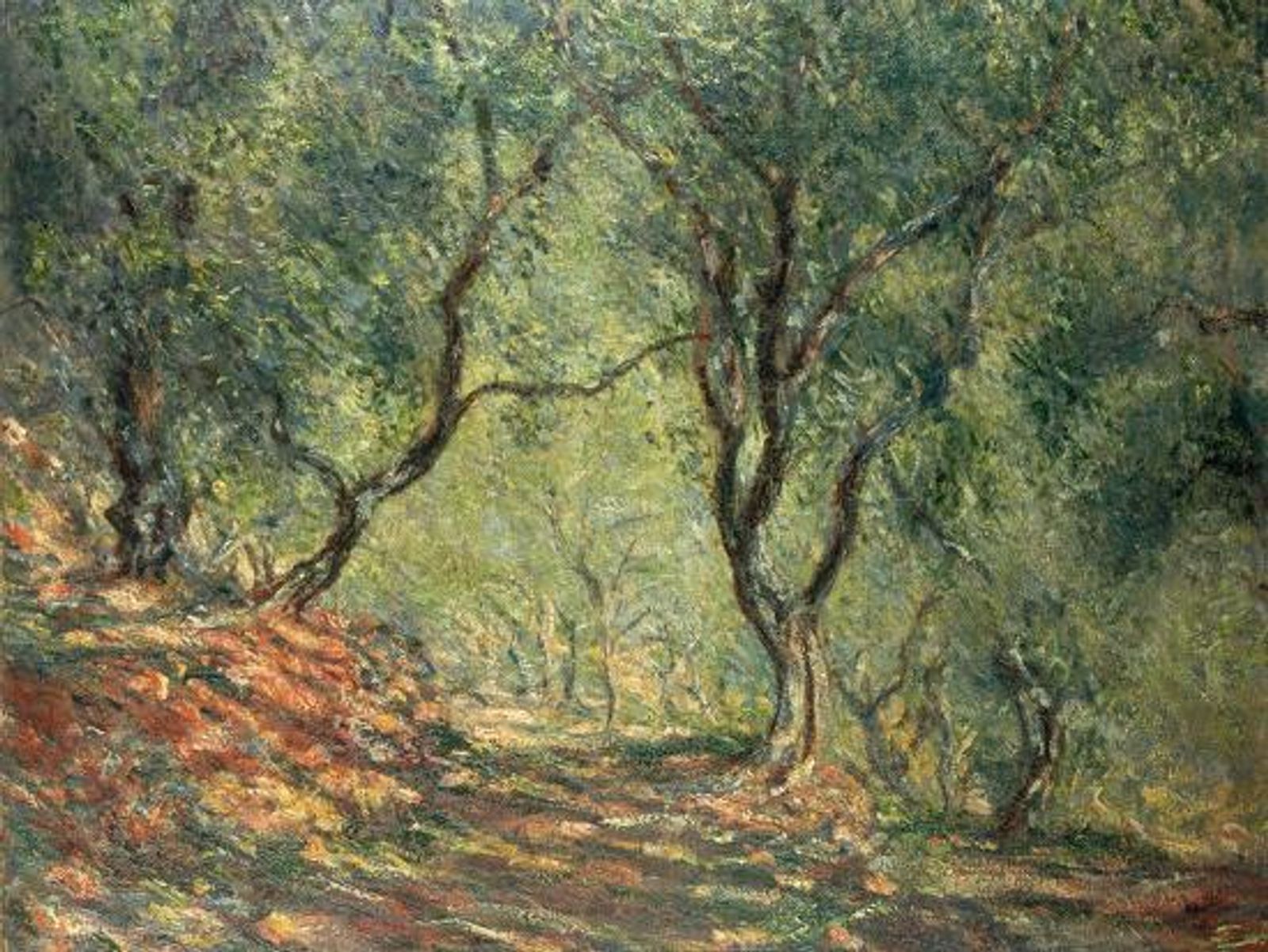 Monet - Dynamic Wallpaper Club