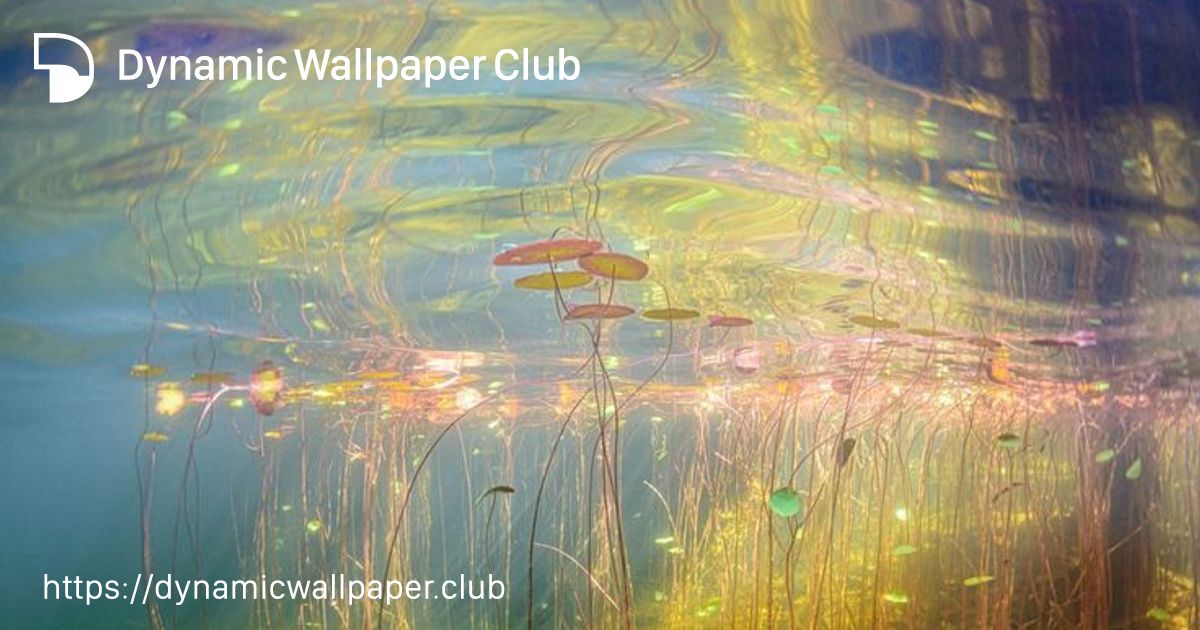 pretty dynamic wallpaper - Dynamic Wallpaper Club