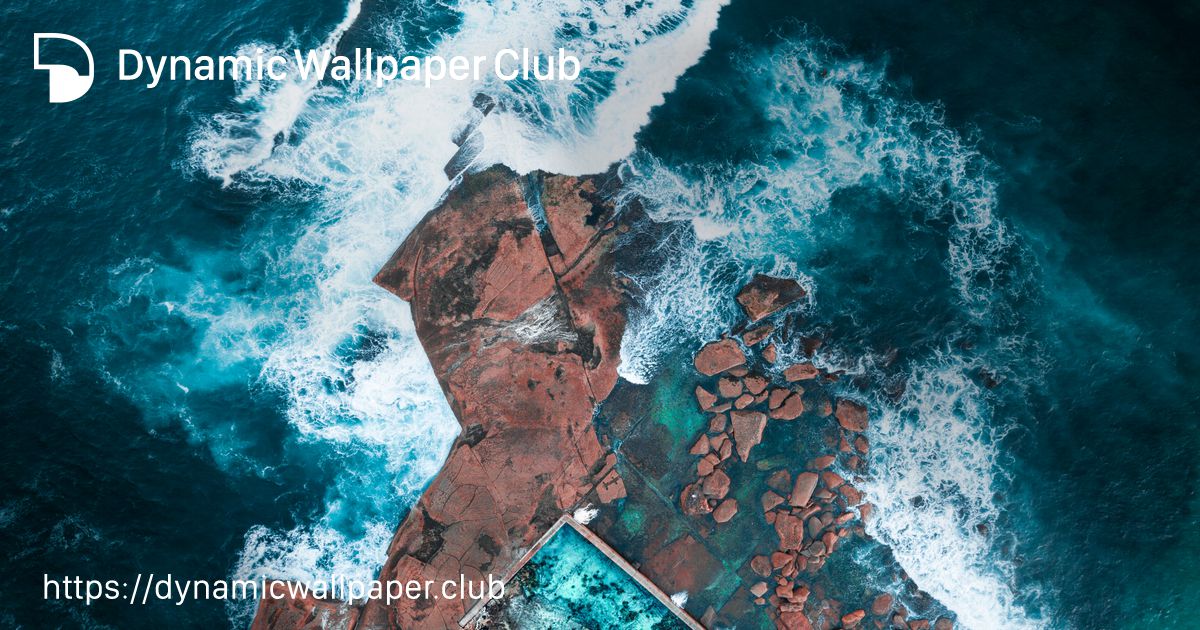 Chelsea - Dynamic Wallpaper Club