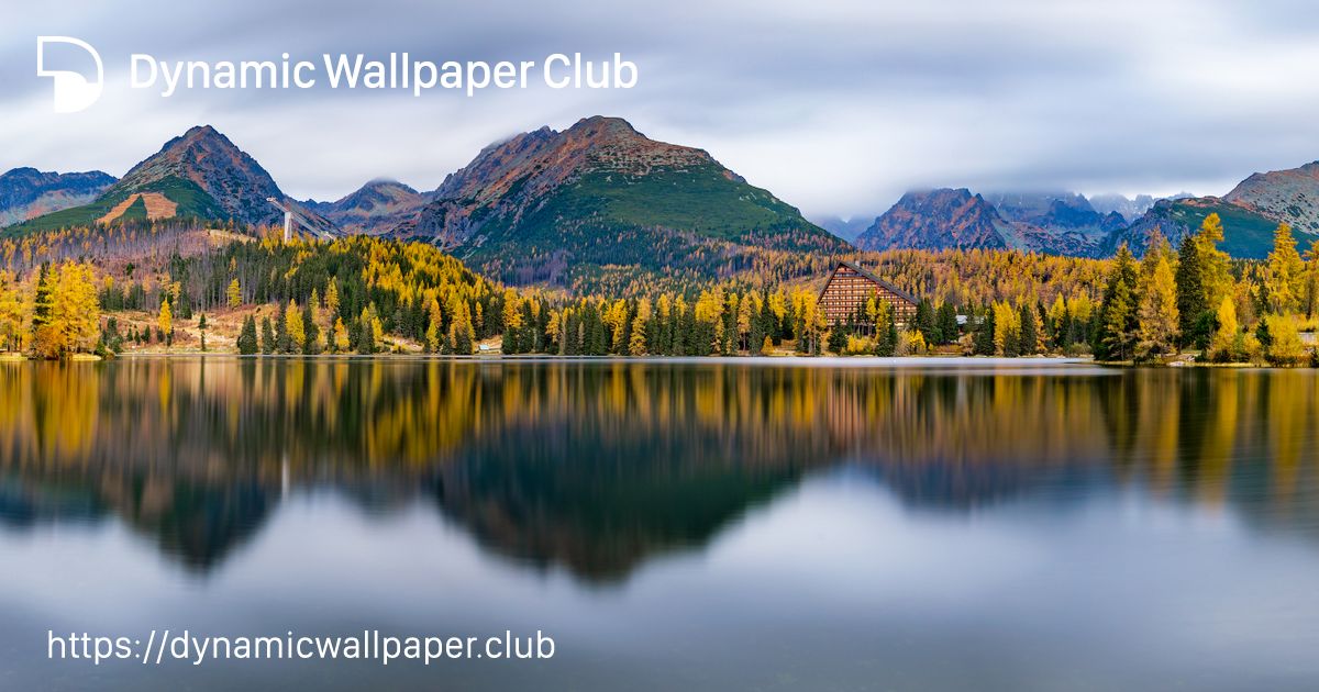 DynamicSuperUW - Dynamic Wallpaper Club