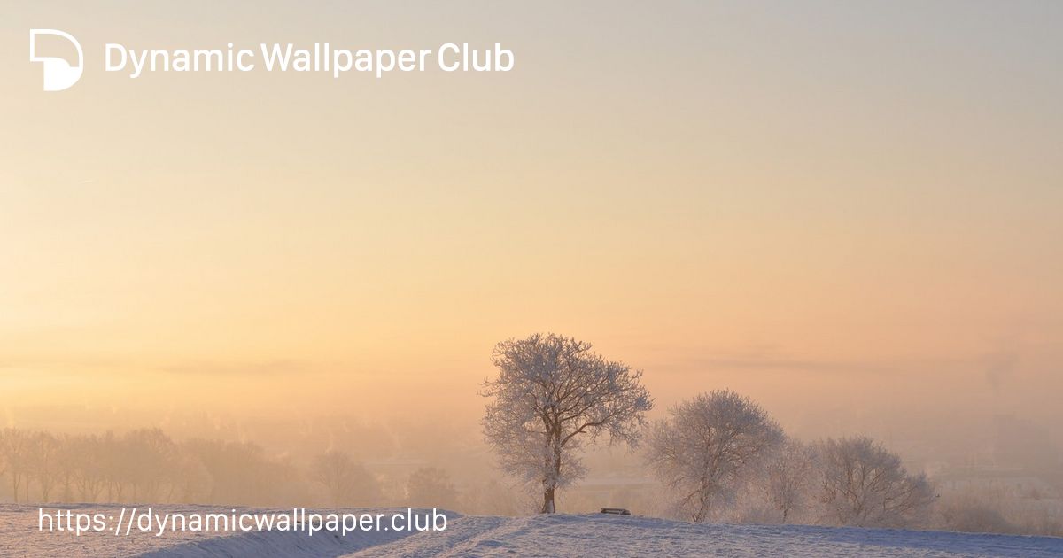 dynamic snow - Dynamic Wallpaper Club