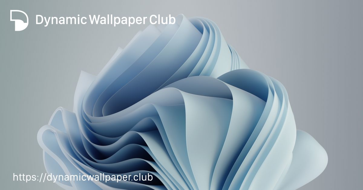 Windows 11 Flower - Dynamic Wallpaper Club