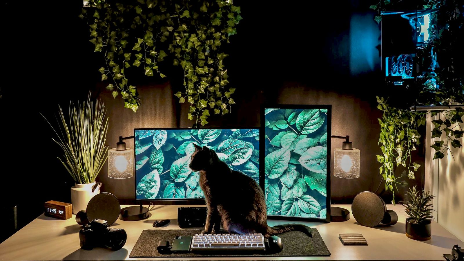 Dynamic Wallpaper Gallery - Dynamic Wallpaper Club